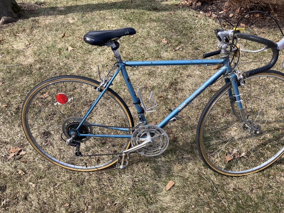 1981 Soma cosmopolitan