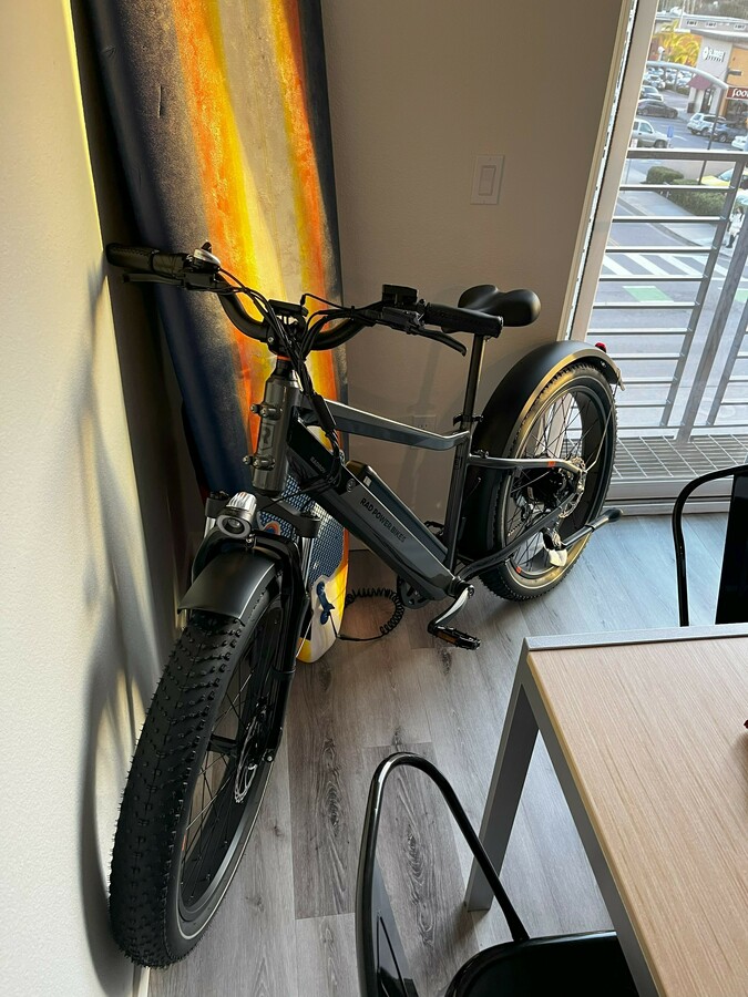 Rad Power Bikes Rad Rover 6 Plus