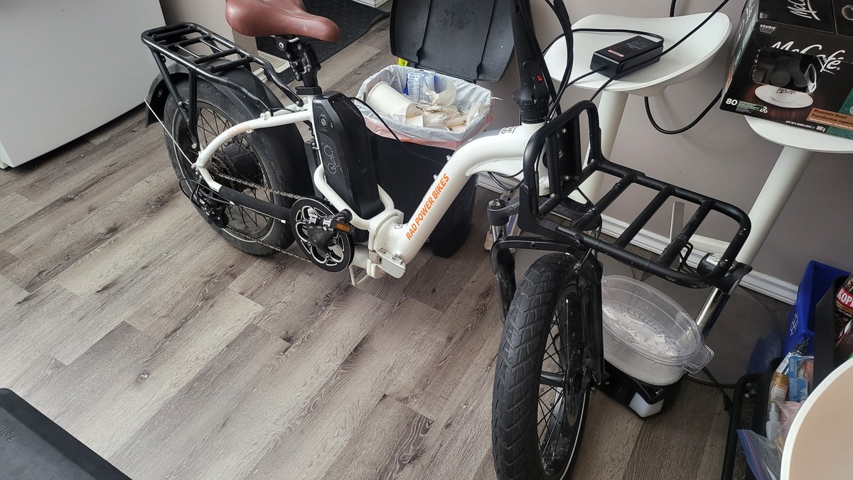 Radpowerbikes Rad mini 2 st