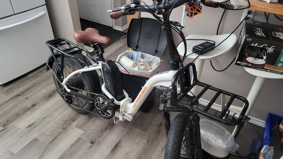 Radpowerbikes Rad mini 2 st