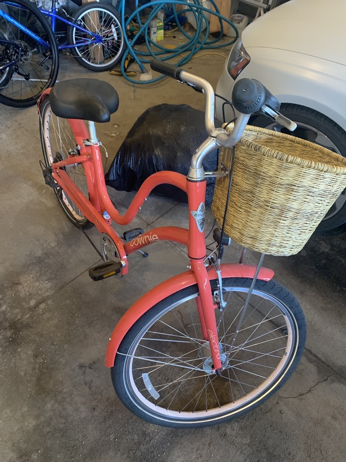 2021 Electra Townie 7D EQ