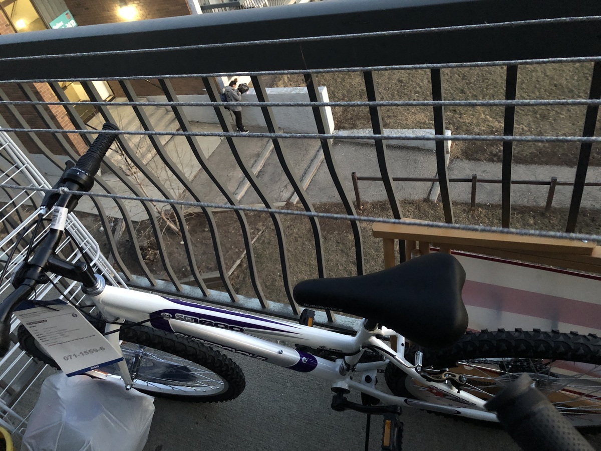 2024 Supercycle Top tube lenght