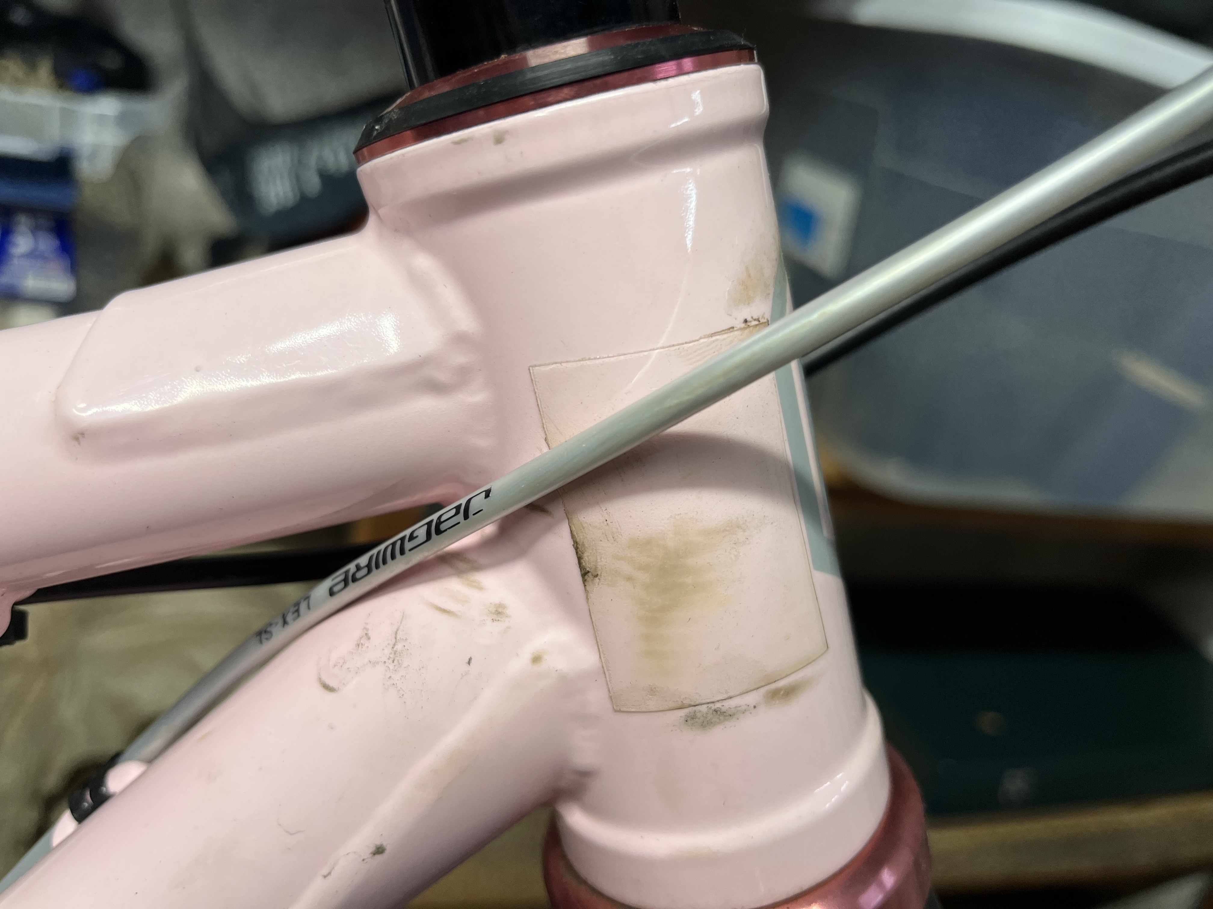 2023 Marino Custom single speed hardtail