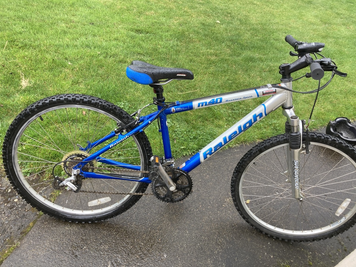 Raleigh 26 inches