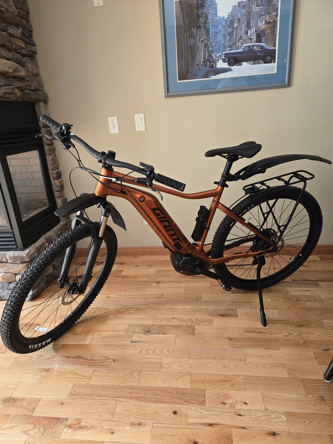 2023 Giant Talon E+ 2 29 L Amber Glow