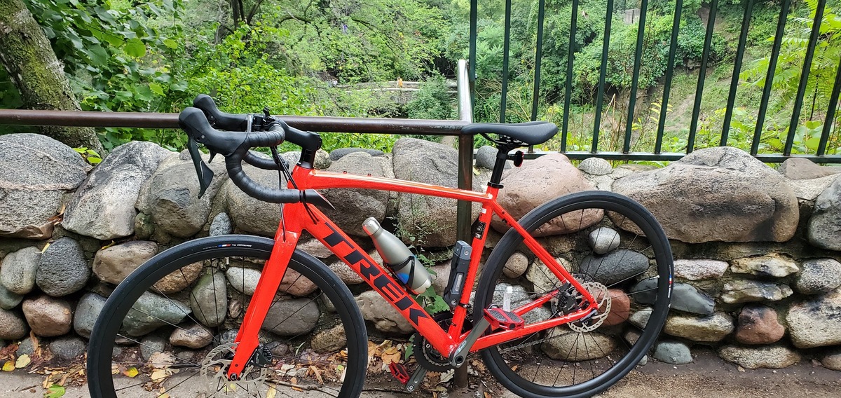 2021 Trek Domane 4