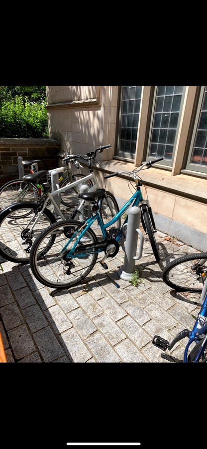 Kent 25# ladies Kent Glendale