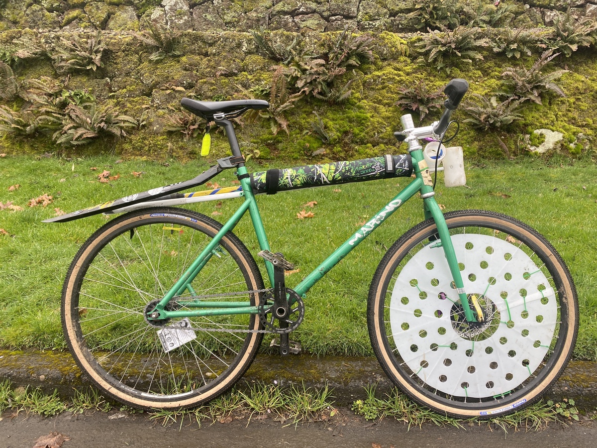 Marino Custom polo bike