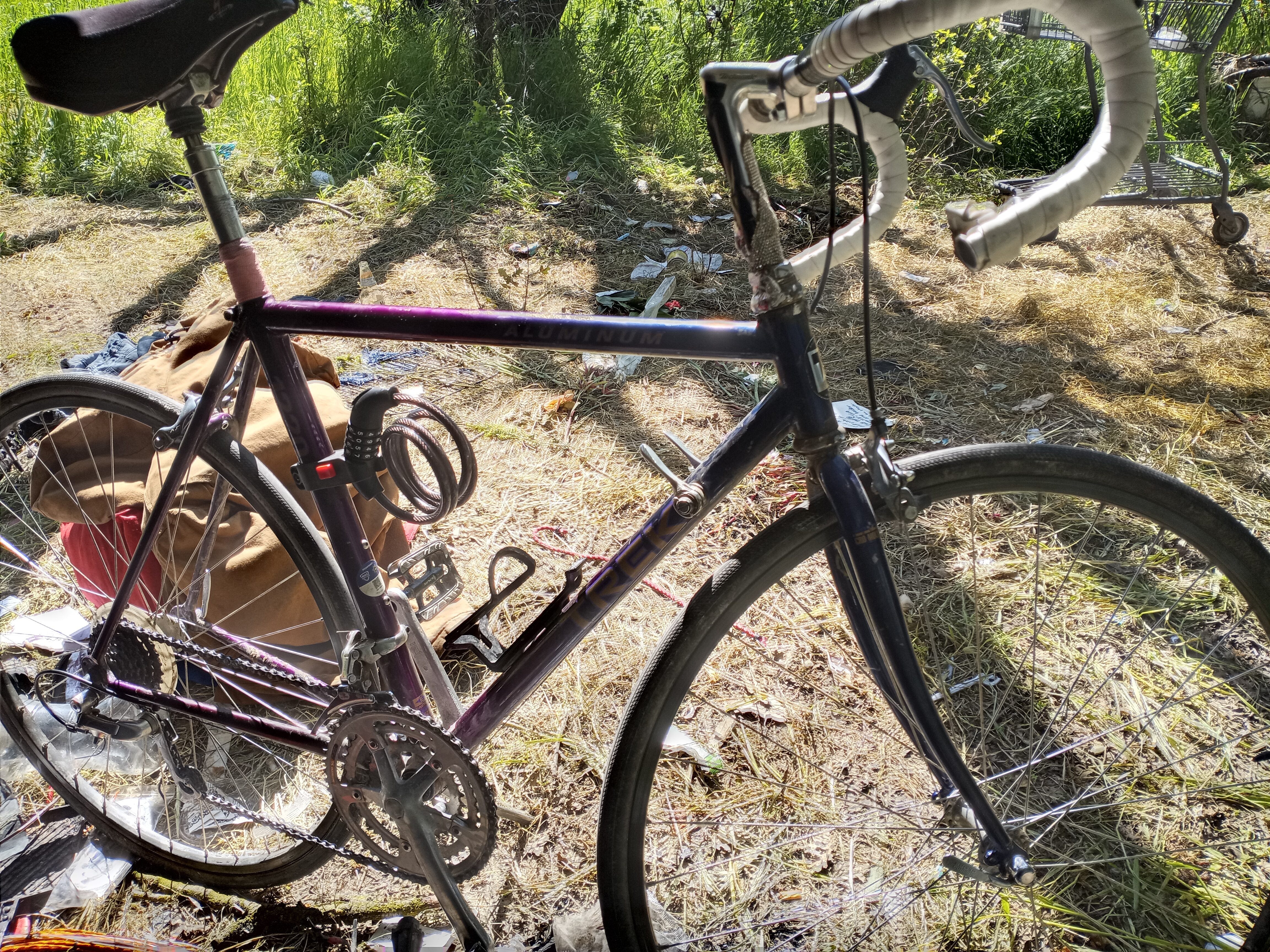 2010 Trek 1220