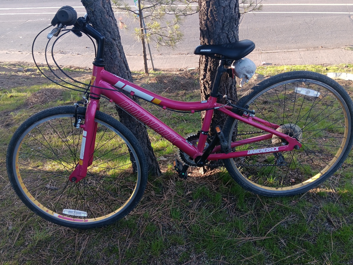 2019 Diamondback Clarity