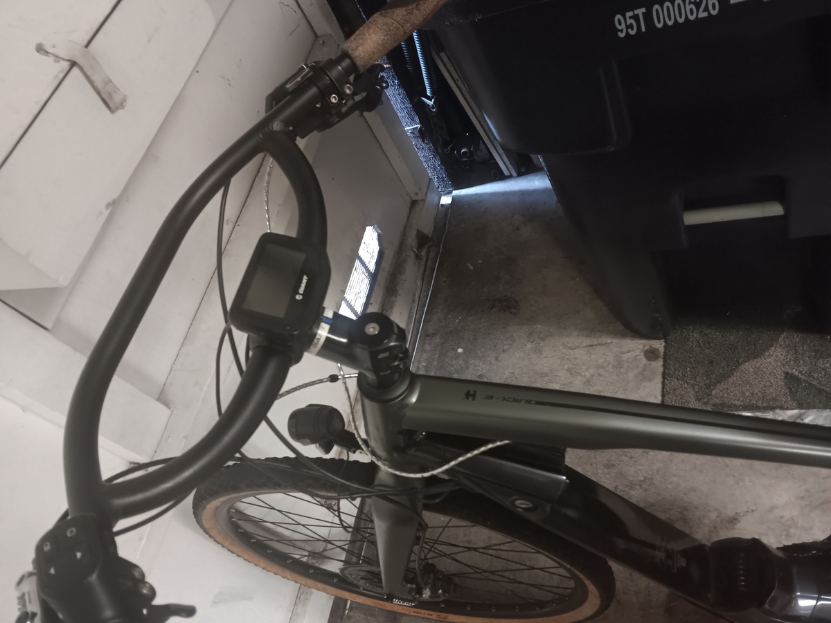 2021 Giant Quick-E