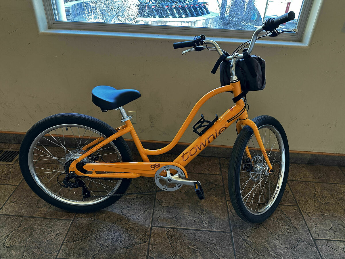 2024 Trek Electra Townie Go