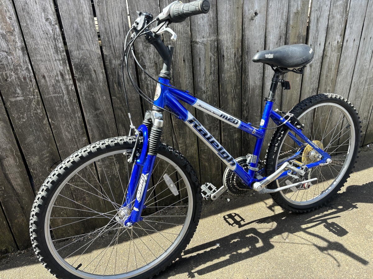2002 Raleigh M20 Mountain Sport