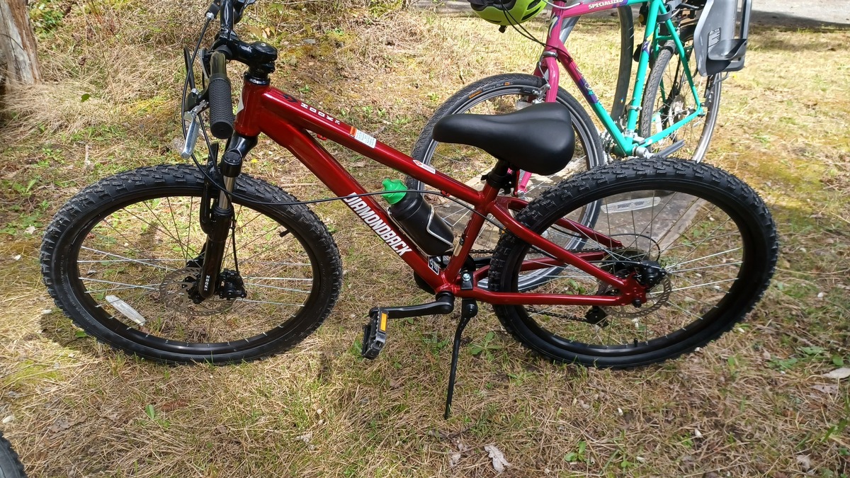 2024 Diamondback Hook 24