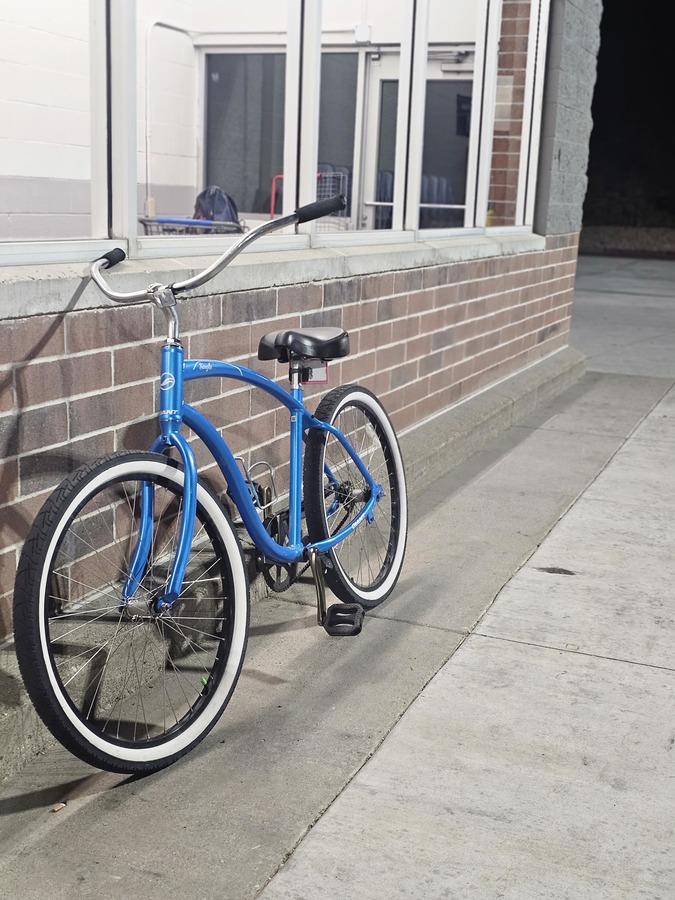 2017 Giant Simple Single