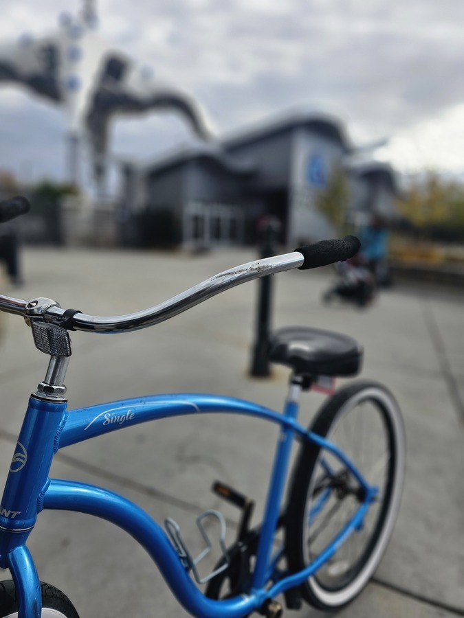 2017 Giant Simple Single