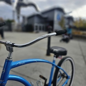 2017 Giant Simple Single