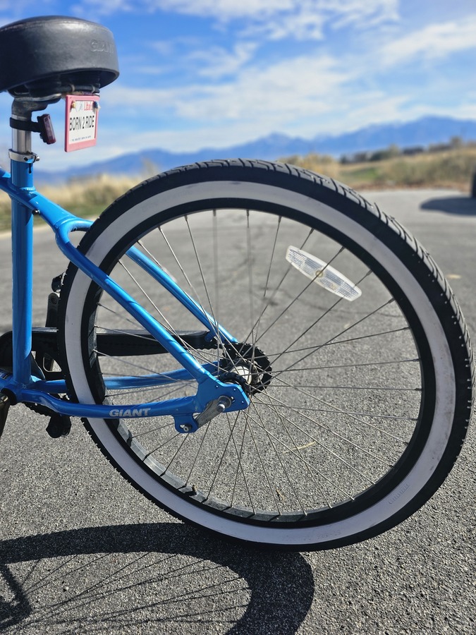 2017 Giant Simple Single