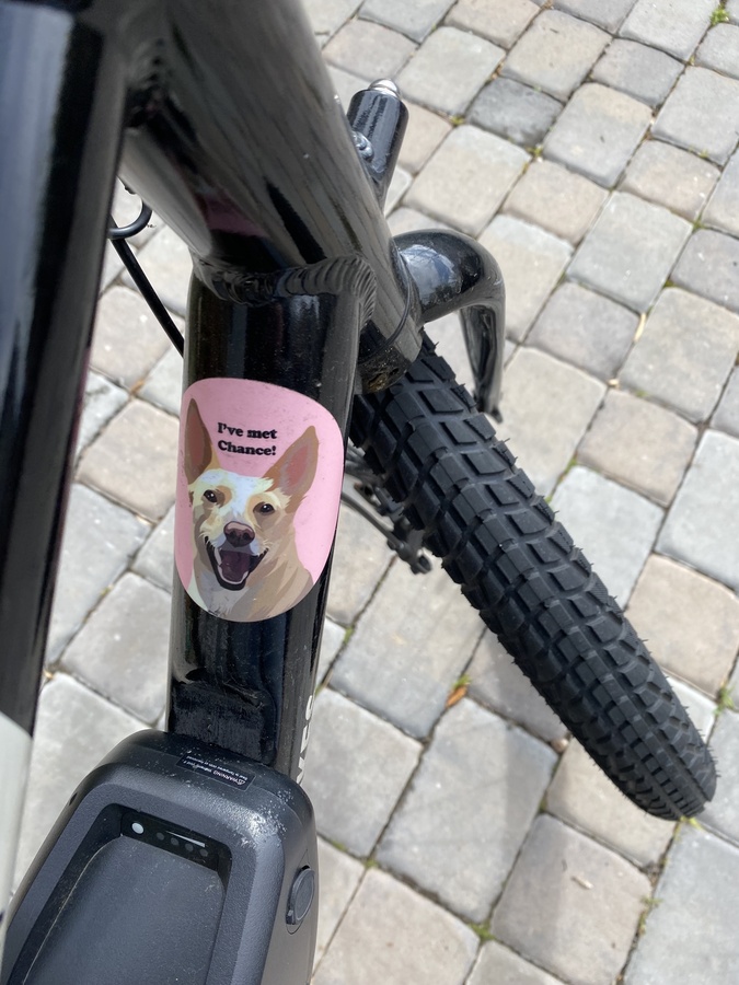 Stolen 2021 Rad Power Bikes Rad Mission 1