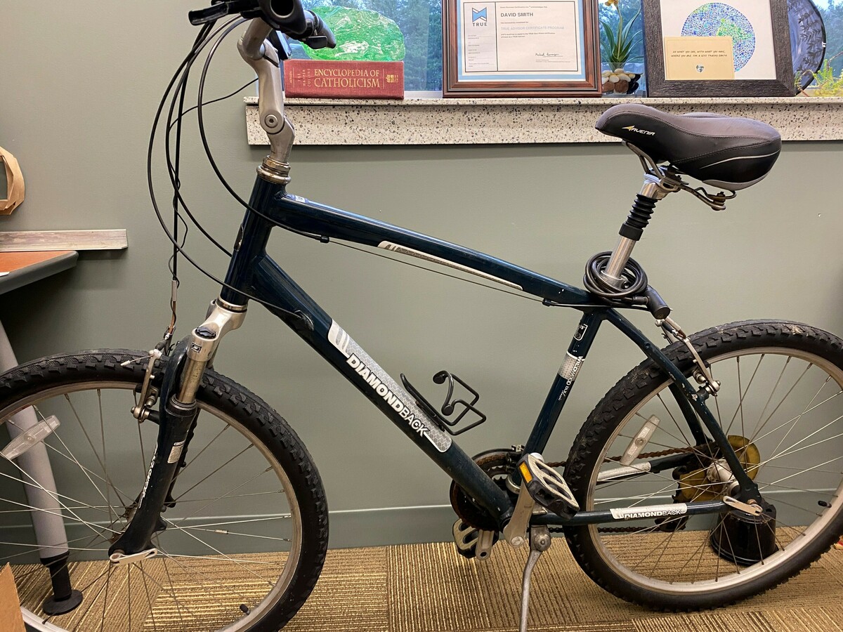 Diamondback Wildwood DLX Classic