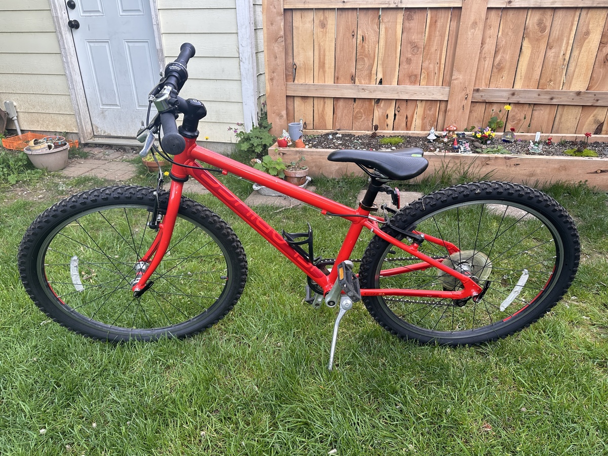 Islabikes Beinn 24”