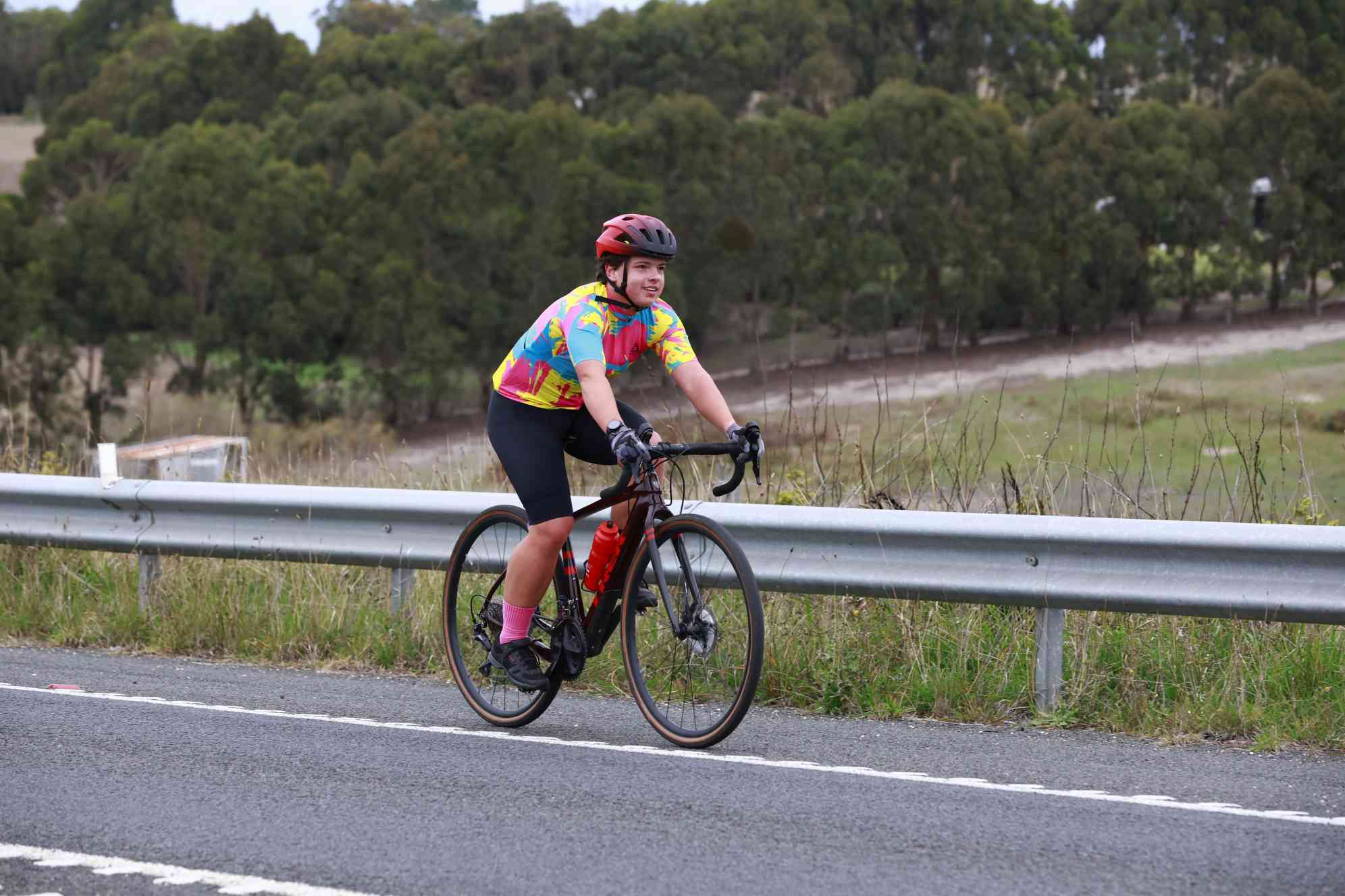 Stolen 2020 Trek Checkpoint SL5