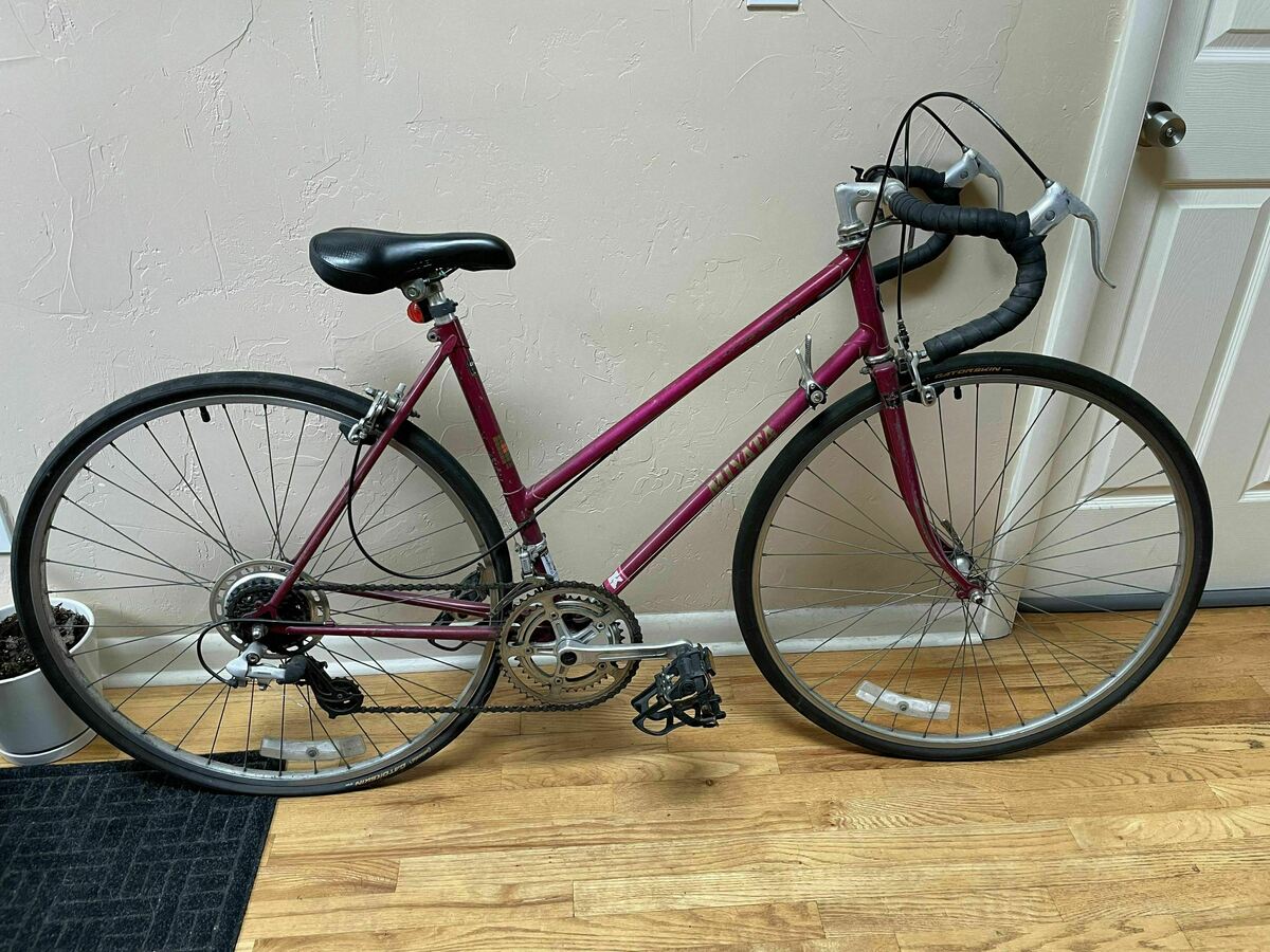 1981 Miyata 310S