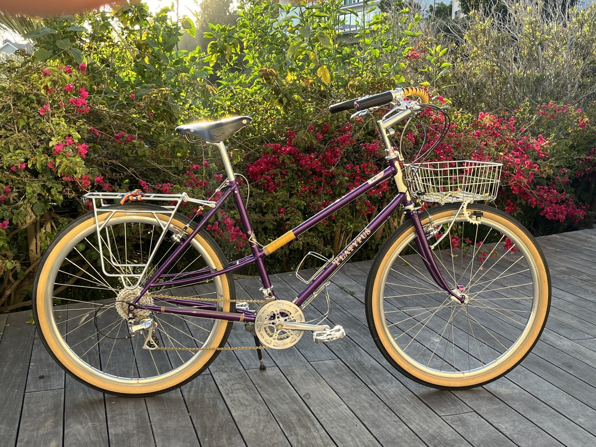 2024 Rivendell Bicycle Works Platypus