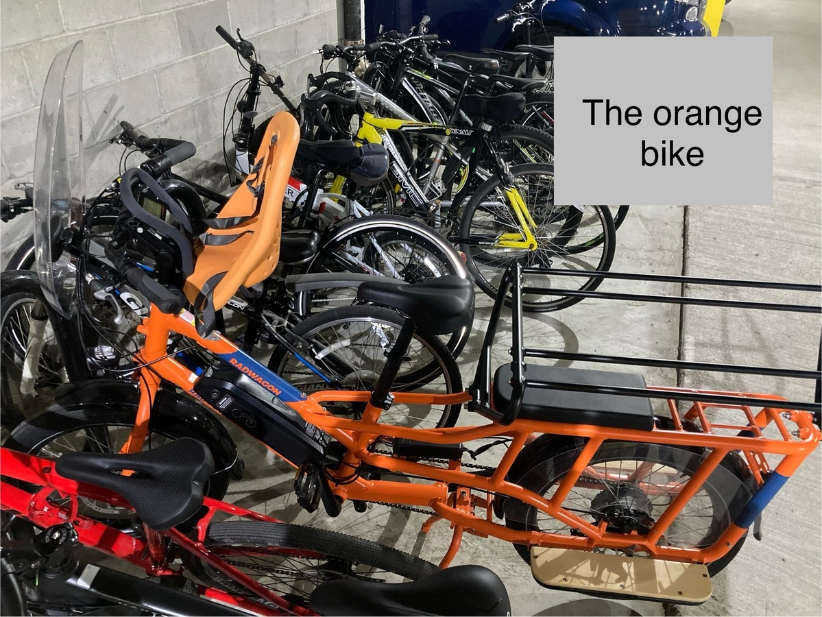 2020 Rad Power Bikes Radwagon 4