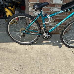 1998 Infinity Cycle Works Telluride