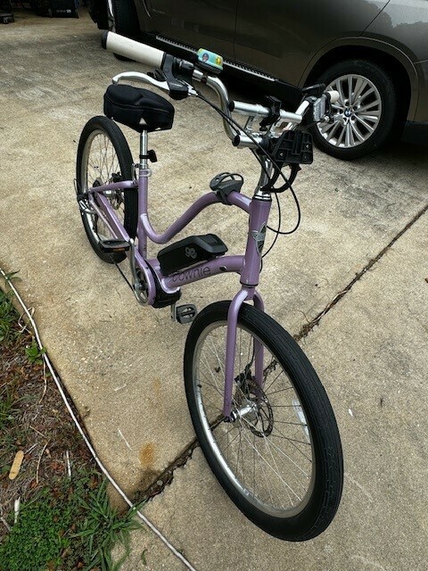 2019 Electra Townie Go! 8D Step