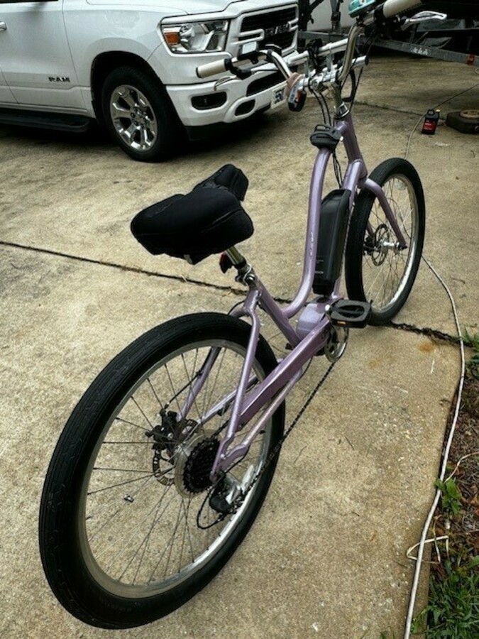 2019 Electra Townie Go! 8D Step