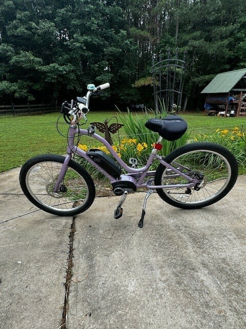 2019 Electra Townie Go! 8D Step