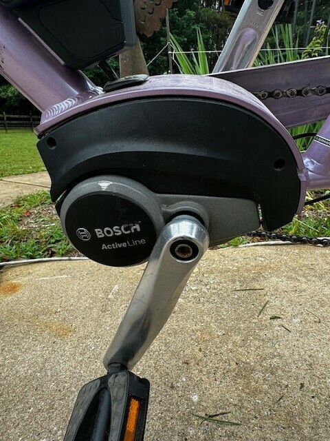 2019 Electra Townie Go! 8D Step