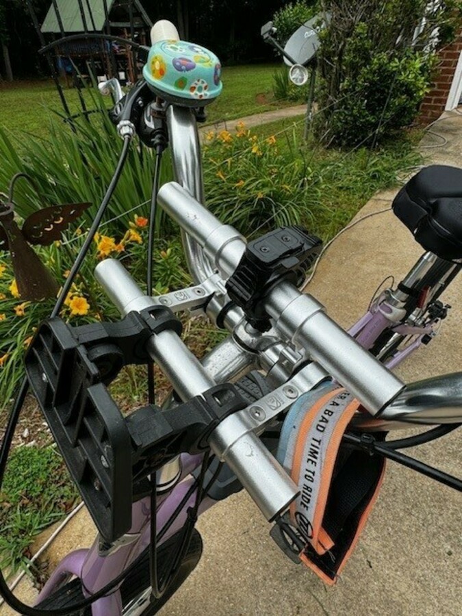 2019 Electra Townie Go! 8D Step