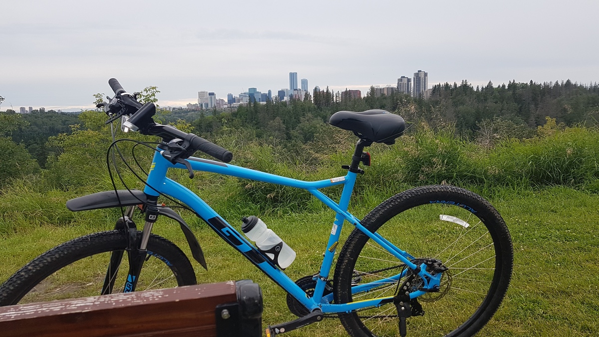 Stolen 2020 GT Bicycles GT Aggressor Sport 2020