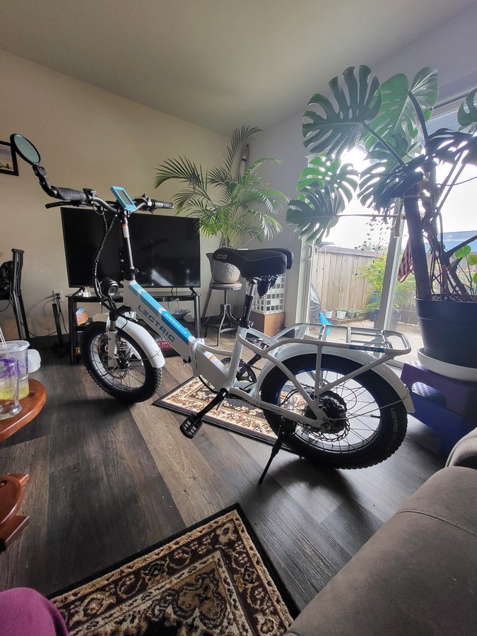 Lectric eBikes Step through