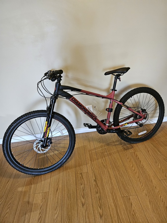 Stolen Diamondback Hardtail