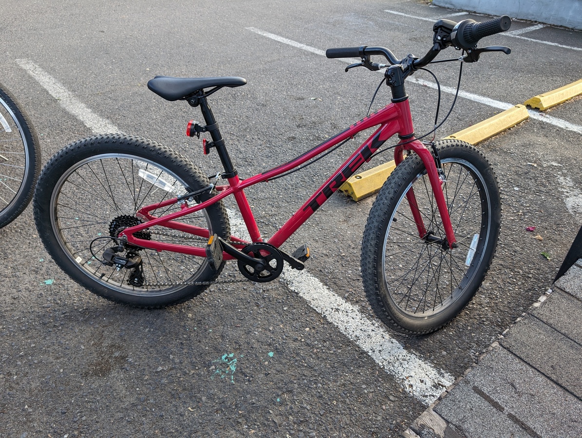 2021 Trek ISO-4210-2