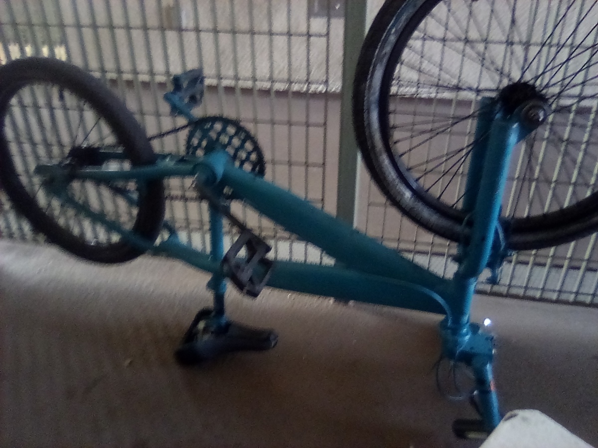 Other Mongoose