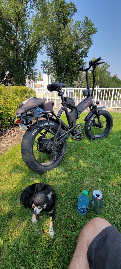 2020 Synergy Kahuna Folding