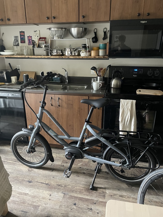 2024 Tern Quick Haul P9