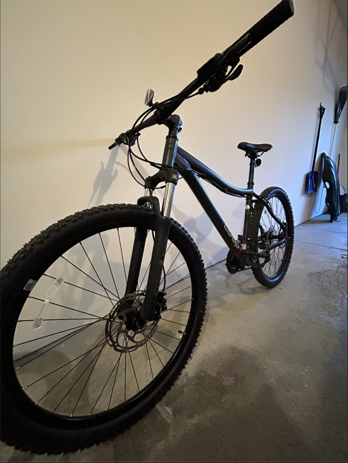 2019 REI Co-op DRT 1.1