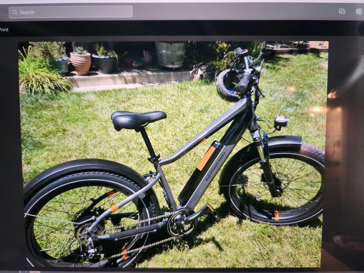 2024 Rad Power Bikes RadRover 6 Plus