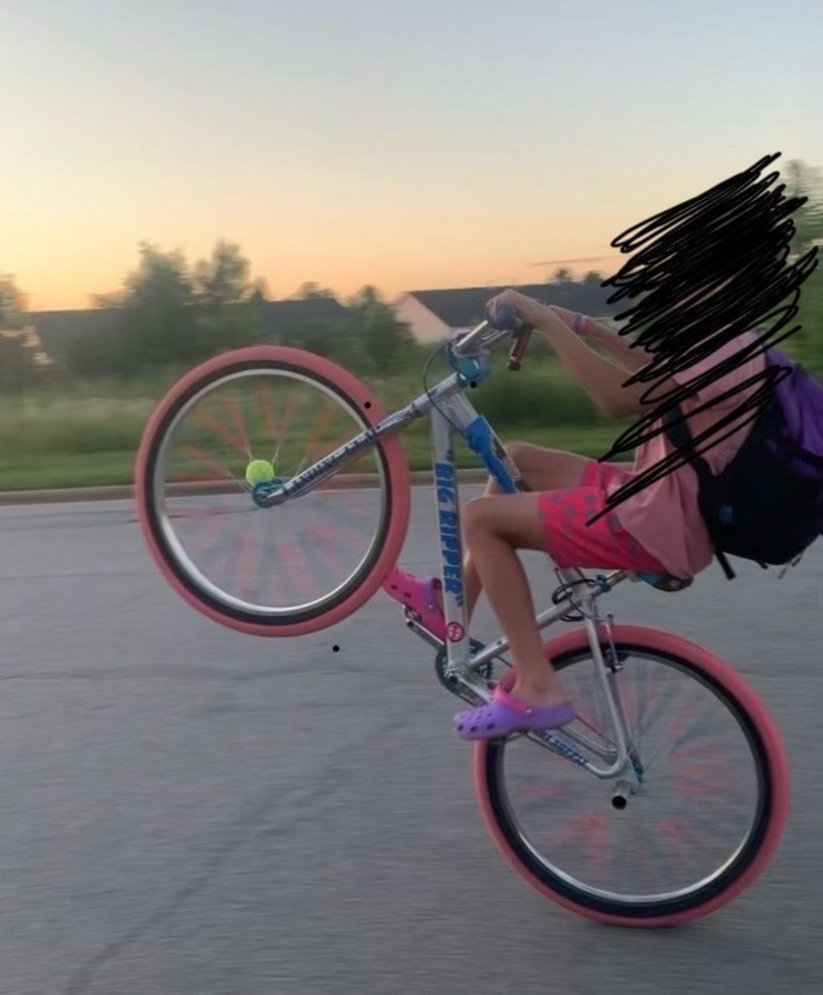 SE Bikes 29" Big Ripper