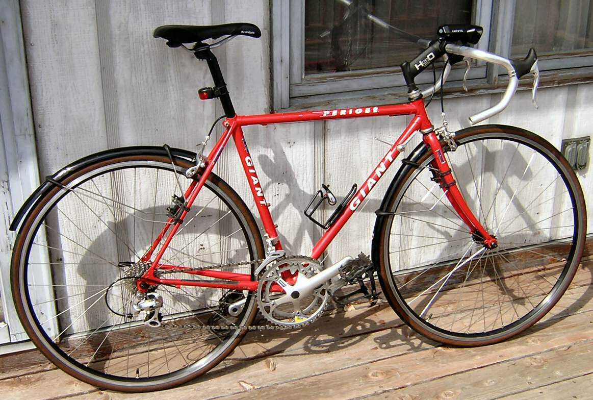 Stolen 1994 Giant Perigee