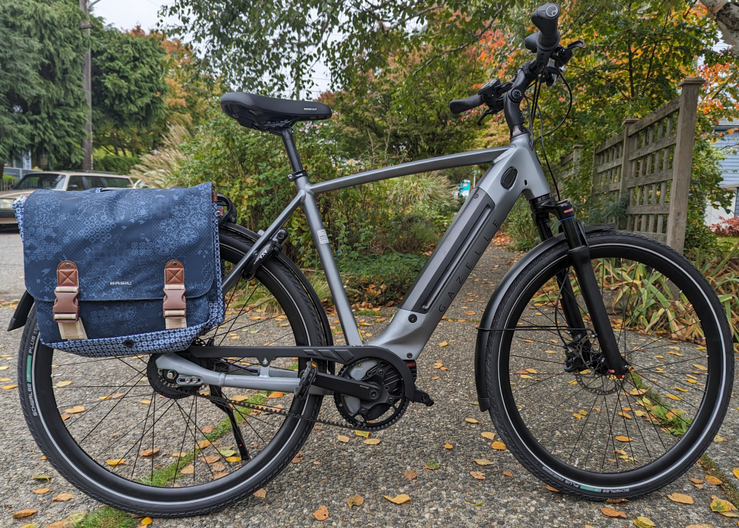 2023 Gazelle Step-over