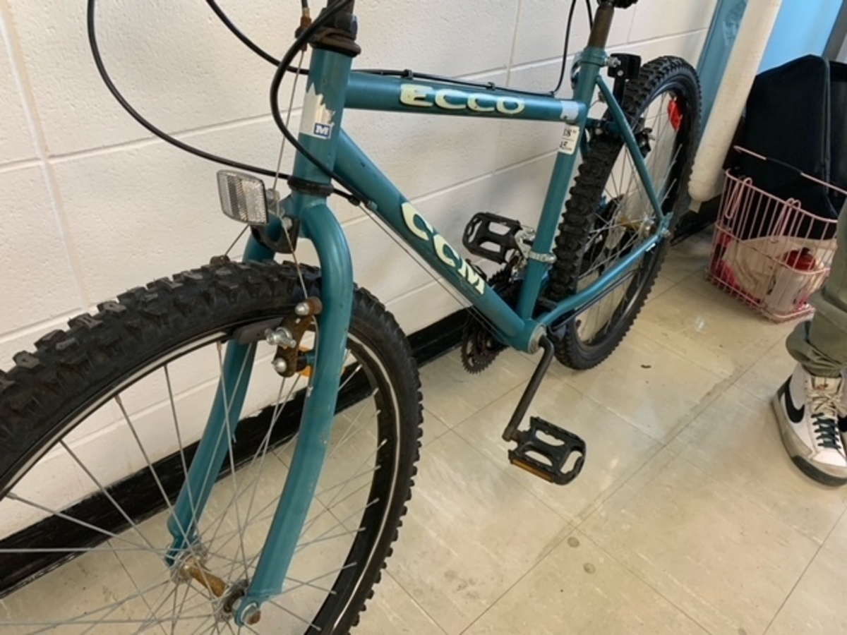 CCM Ecco