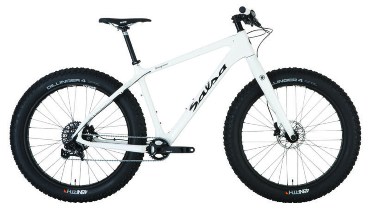2015 Salsa Beargrease Carbon 1