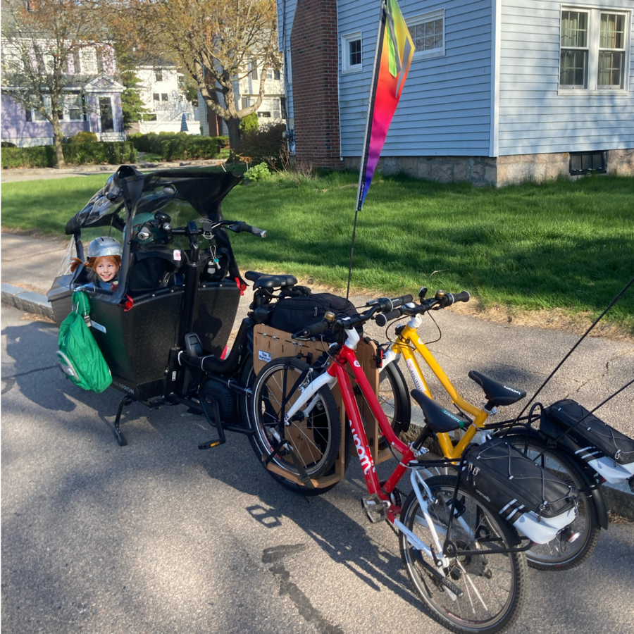 2022 Urban Arrow Cargo Line cargo bike